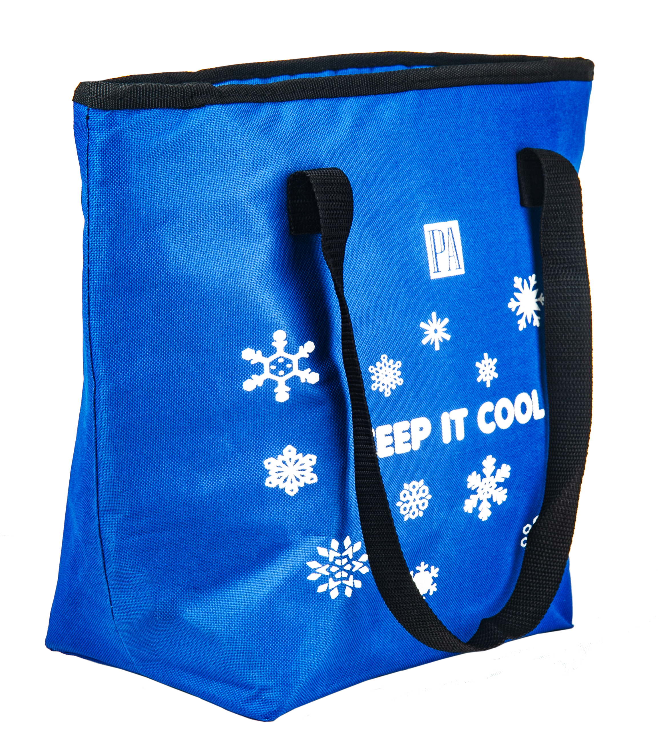 SIB-001 - Poly Aspect Insulated Bag Manufacturer Malaysia